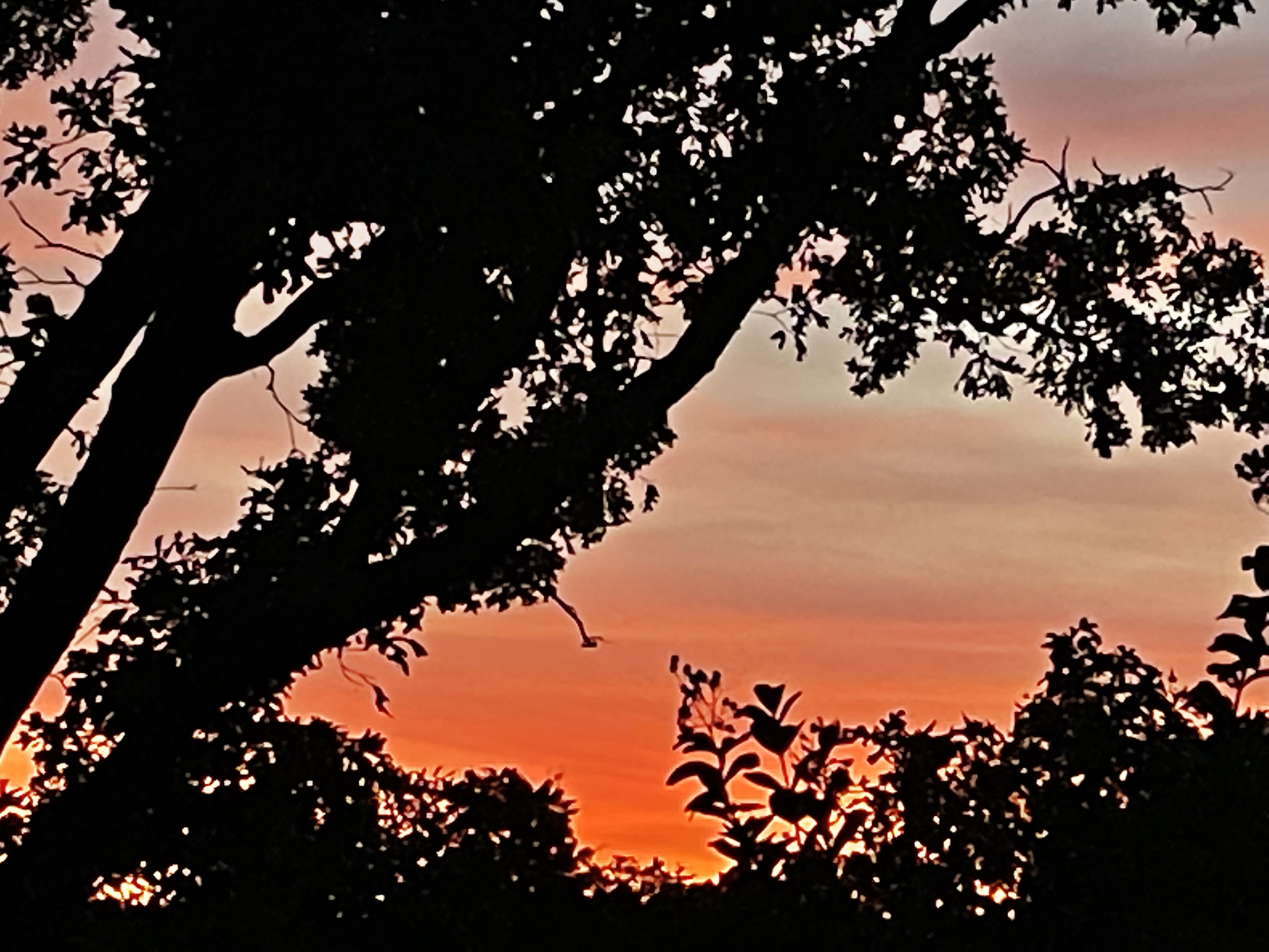 the Poetry of Presence – Daniel L. Smith, poet